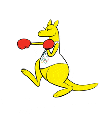 Kangaroo Punch Gif