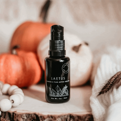 Fall-activities GIFs - Get the best GIF on GIPHY