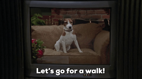 Walking Dog Animated Gif