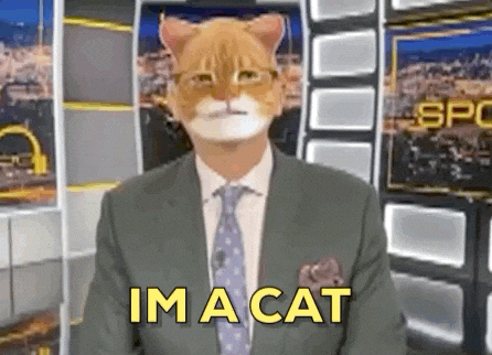 Im A Cat GIFs - Get the best GIF on GIPHY
