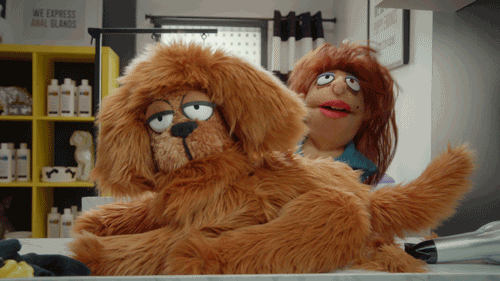 Dog Reaction GIF by Crank Yankers - Find & Share on GIPHY