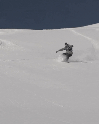 Nidecker Snowboards GIF - Find & Share on GIPHY
