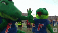 Gator Chomp Gif