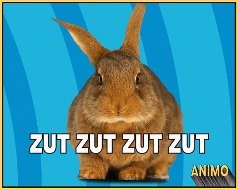 Zut GIFs - Get the best GIF on GIPHY