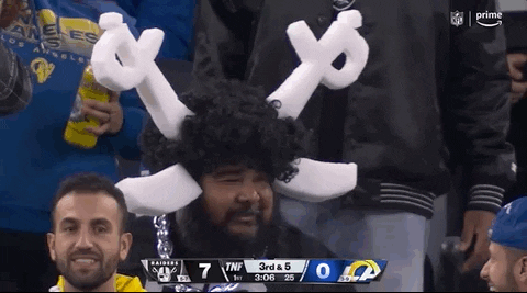 Lets Go Raiders GIFs - Get the best GIF on GIPHY