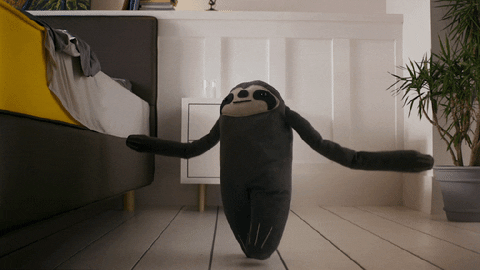 Bed Sloth GIFs - Get the best GIF on GIPHY