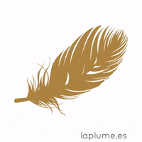 Pluma Escribiendo Gif