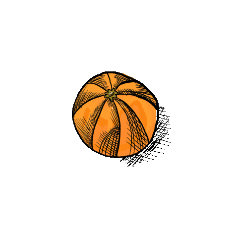 Mandarin Orange Eating Sticker for iOS & Android | GIPHY