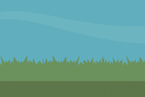 Principios GIFs - Get the best GIF on GIPHY