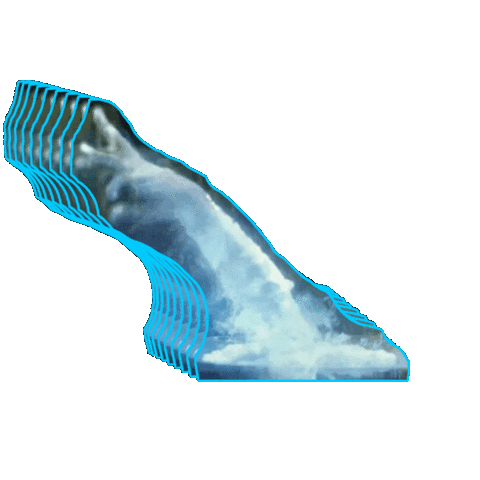 Raven Banner Entertainment GIFs - Find & Share on GIPHY