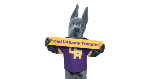 Damien the Great Dane by UAlbany | GIPHY