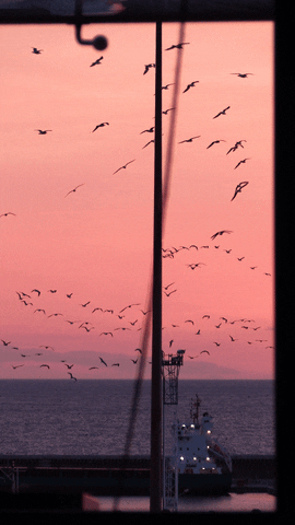 Loop Sea GIF by A. L. Crego - Find & Share on GIPHY