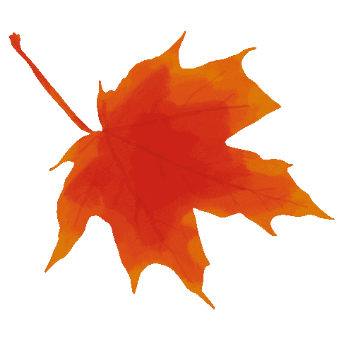 Maple Leaf Fall Sticker for iOS & Android | GIPHY