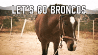 Go-broncos GIFs - Get the best GIF on GIPHY