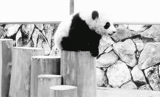 Extinct Nature GIFs - Get the best GIF on GIPHY