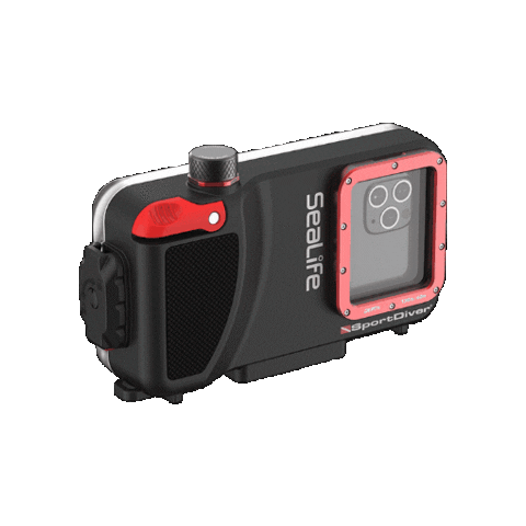 SeaLife Cameras GIFs on GIPHY - Be Animated