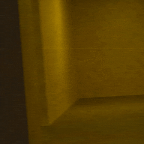 Anybody Else GIFs - Get the best GIF on GIPHY