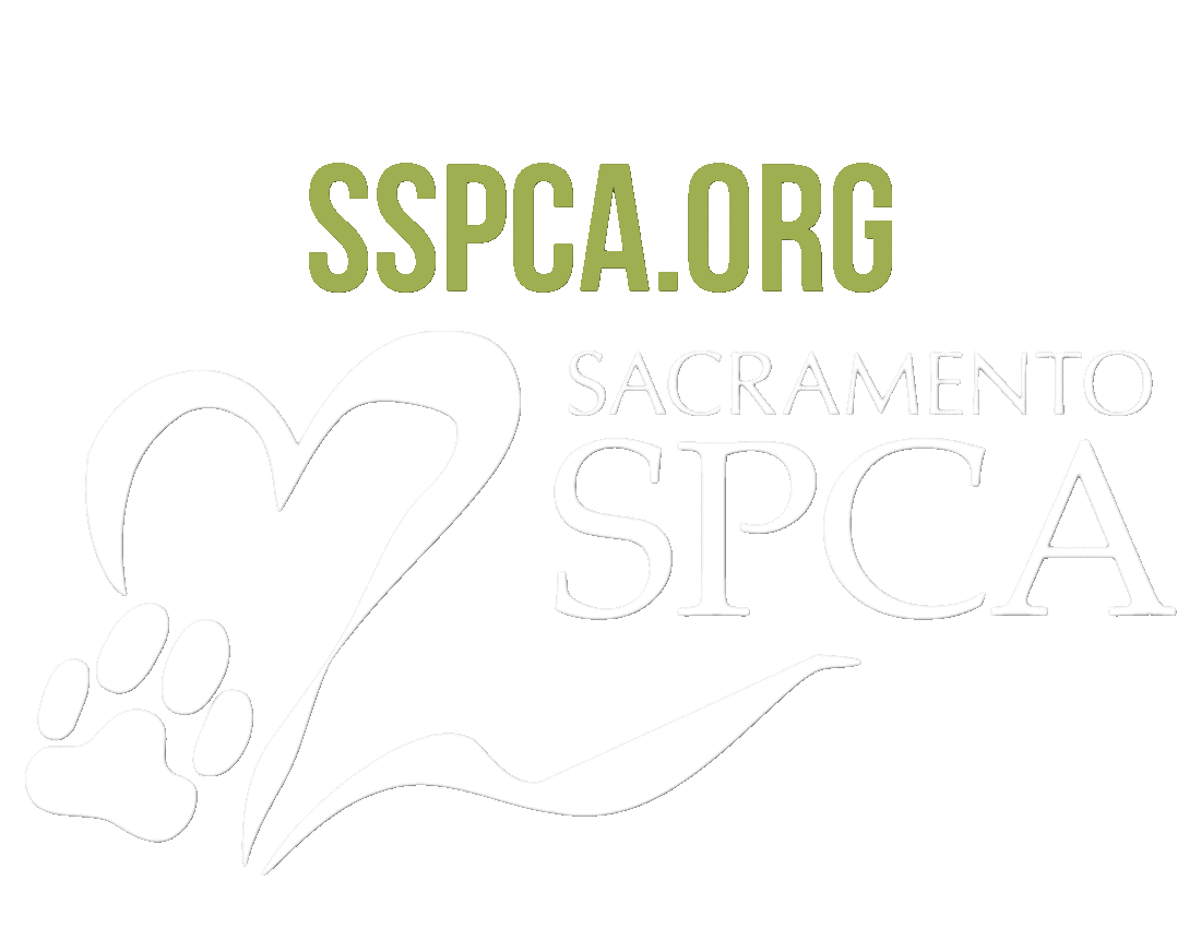 Sspca Sticker by Sacramento SPCA for iOS & Android | GIPHY