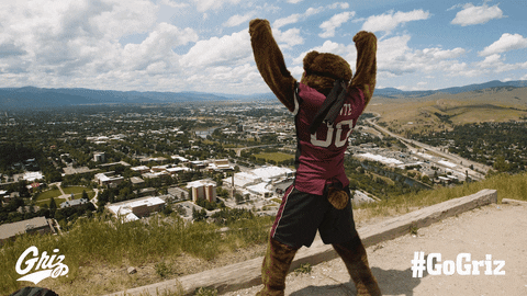 Football Mascot GIF by Montana Grizzlies - Find & Share on GIPHY
