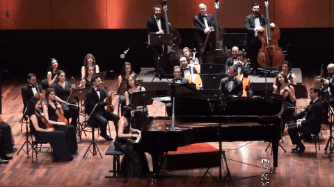 Classical Music Istanbul GIF by BORUSAN SANAT - Find & Share on GIPHY