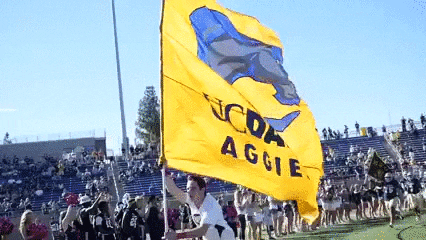 Aggie Flag GIFs - Find & Share on GIPHY