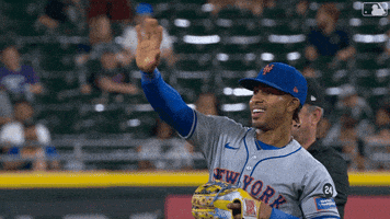 New York Mets GIFs on GIPHY - Be Animated