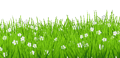 Green Grass Flowers Sticker for iOS & Android | GIPHY
