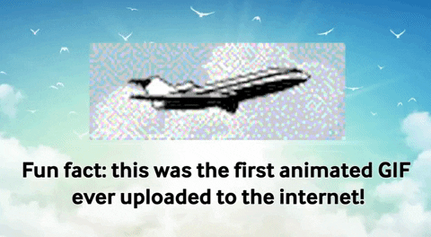 Steve Wilhite Gifs Get The Best Gif On Giphy