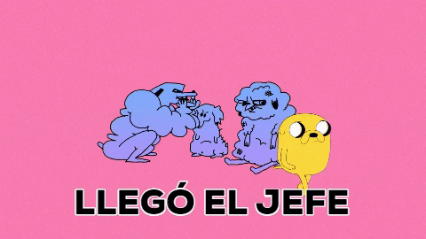 El Jefe GIFs - Get the best GIF on GIPHY