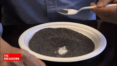 Poppy Seeds Bagels GIF by Inside Edition - Find & Share on GIPHY