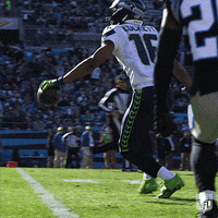 Celebrate Seattle Seahawks GIF by NFL - Find & Share on GIPHY