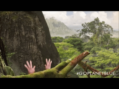 See It Now GIFs - Get the best GIF on GIPHY