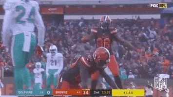 13 Brand New #NFLSunday GIFs! by Sports GIFs | GIPHY