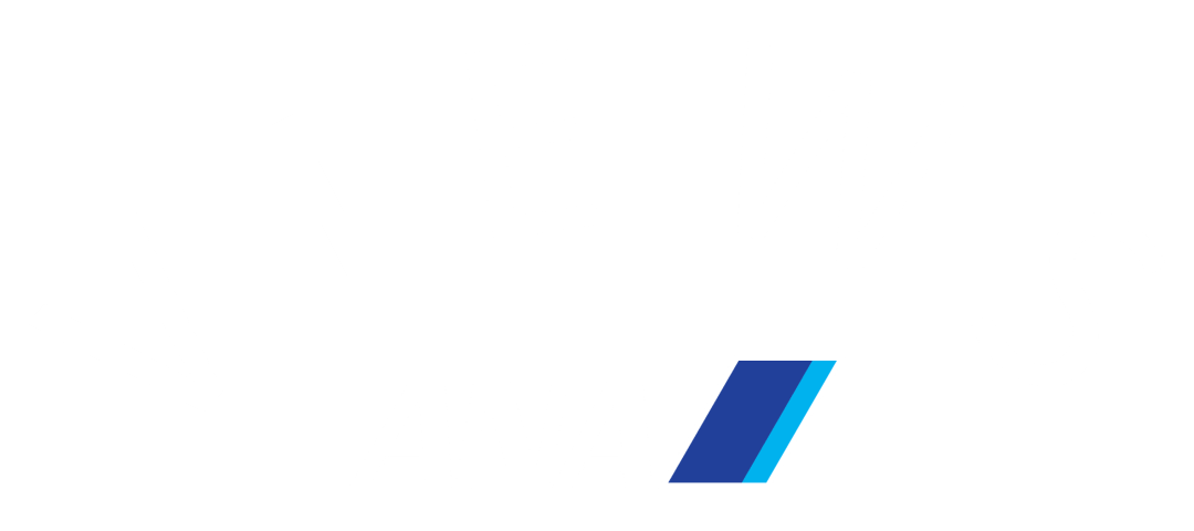 All Nippon Airways Logo