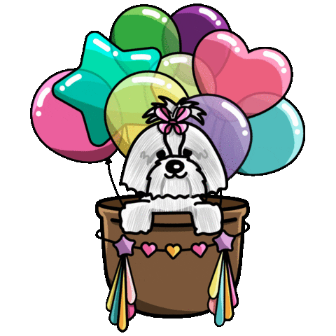 Maltese GIFs on GIPHY - Be Animated