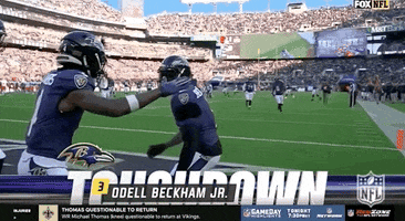 Baltimore Ravens GIFs on GIPHY - Be Animated