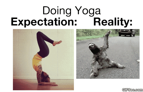 Expectation-reality GIFs - Get the best GIF on GIPHY