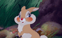Thumper Gif