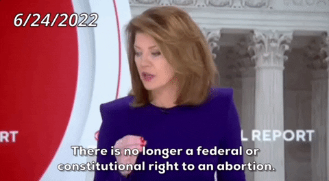 Here's Where the 2024 GOP Candidates Stand on Abortion Bans by GIPHY ...