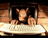 Angry Typing Gif