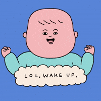 No-to-the-rest GIFs - Get the best GIF on GIPHY