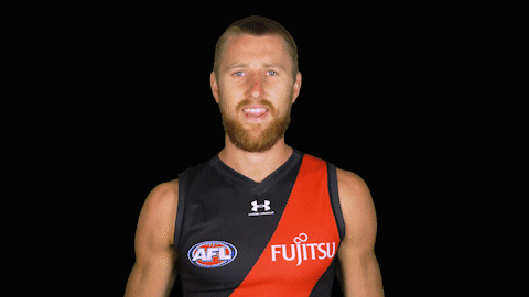 Essendon Bombers GIF by Essendon FC - Find & Share on GIPHY