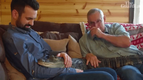 Man Stroking Alligator GIFs - Get the best GIF on GIPHY