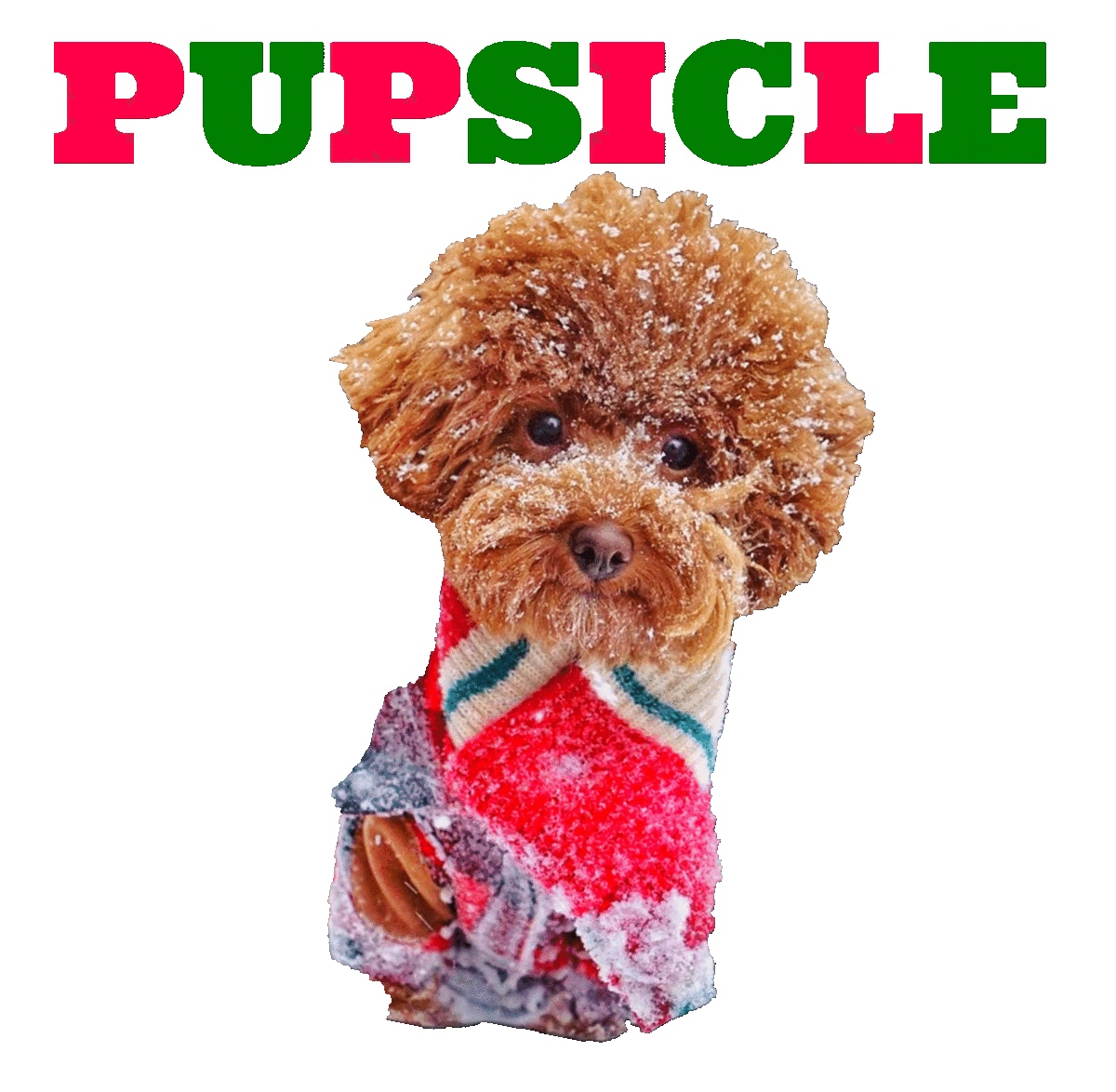 Dog Freezing Sticker for iOS & Android | GIPHY