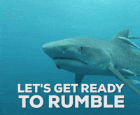 Get Ready To Rumble GIFs - Find & Share on GIPHY