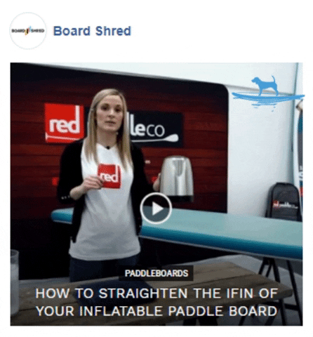 Paddle-boarding GIFs - Get the best GIF on GIPHY