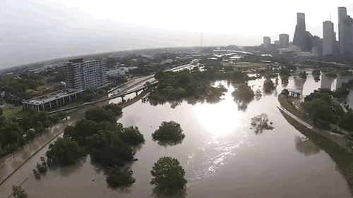 Coastal-flood GIFs - Get the best GIF on GIPHY