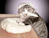 Kneading Dough Gif