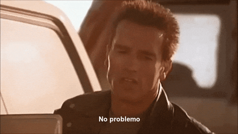 No Problemo Terminator Gif