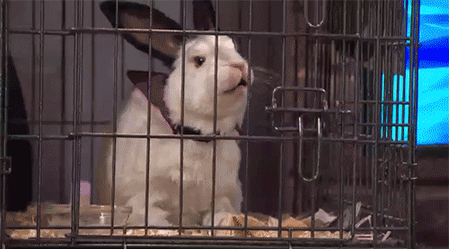 The Thundermans Dr Colosso